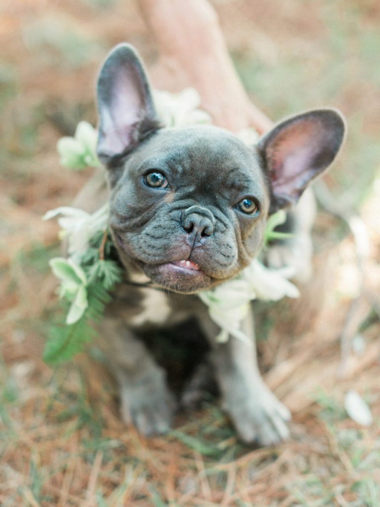 Fallon Taylor Wedding | Carly McCray Photography | Lake Geneva, Door ...